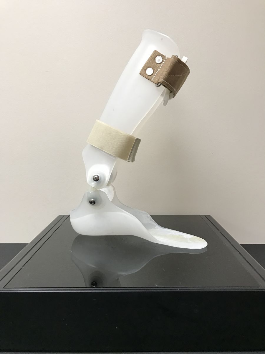 : Image Gallery - Yanke Bionics | Ohio