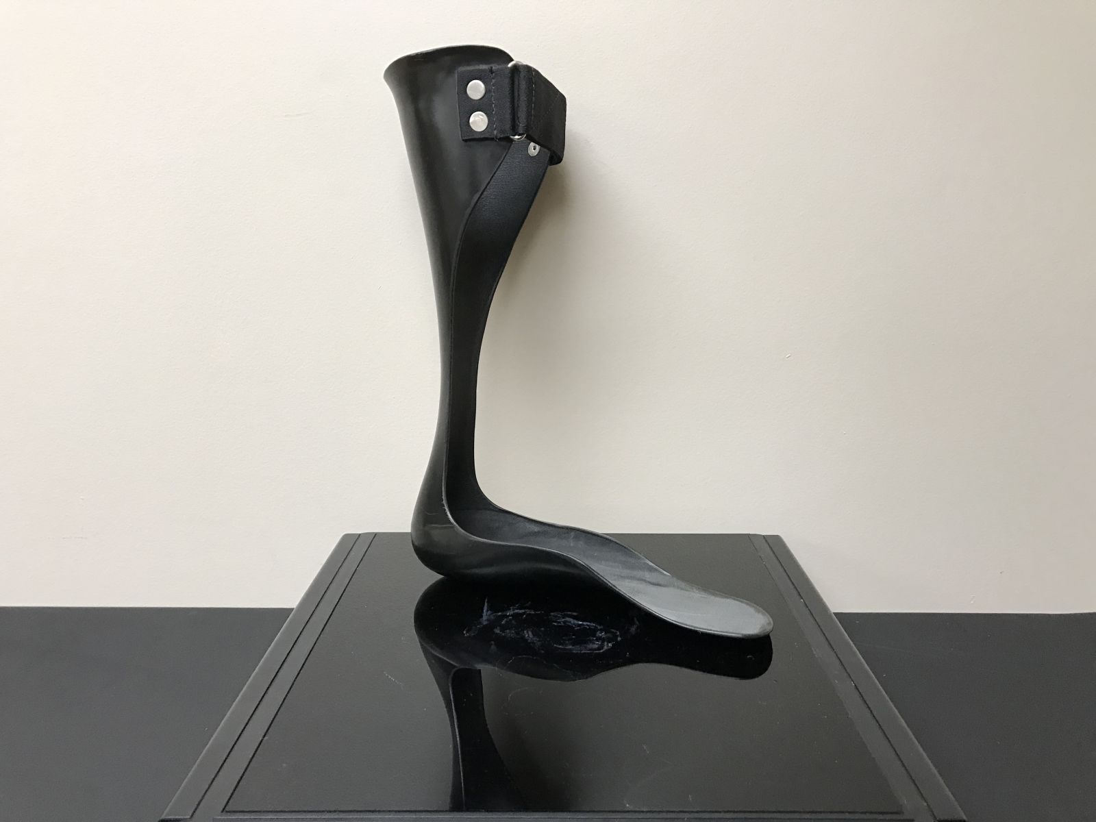 : Image Gallery - Yanke Bionics | Ohio