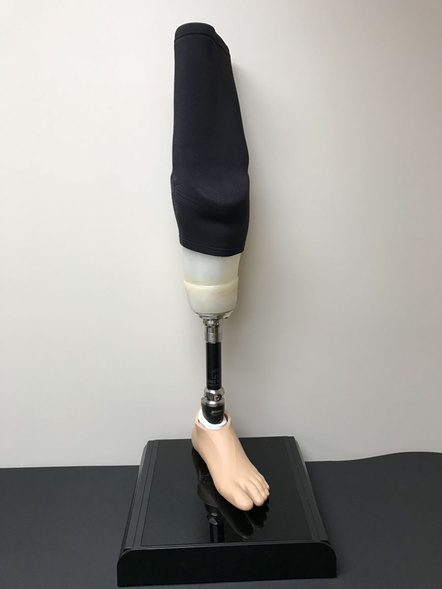 Image Gallery - Yanke Bionics | Ohio