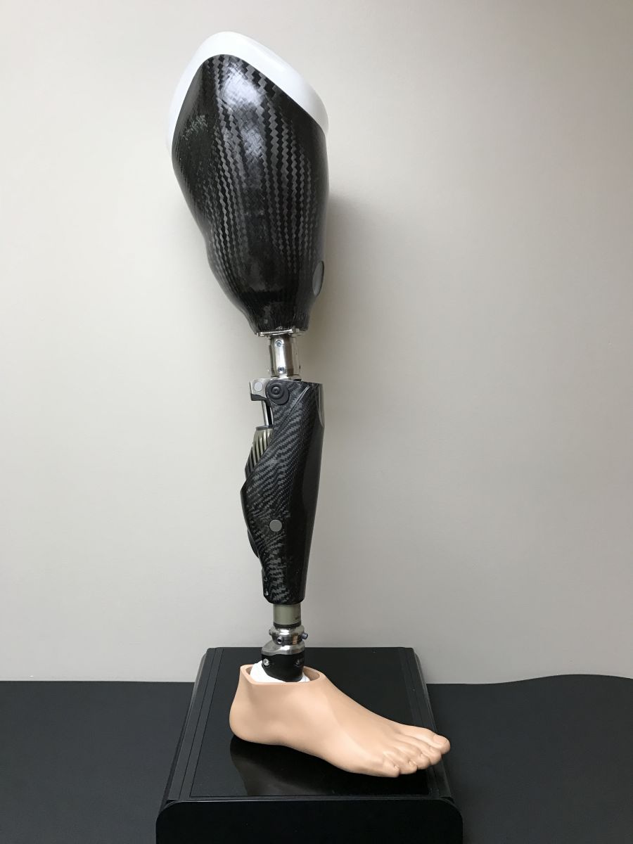 Our Services - Yanke Bionics | Ohio